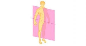 Anatomical Planes Of Motion – TeachPE.com